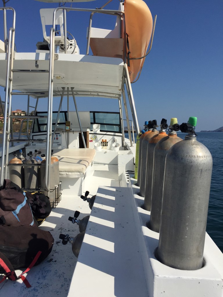 Diving tours at Bat Islands in Costa Rica