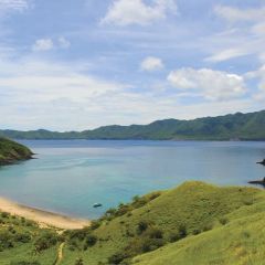 Diving tours at Bat Islands in Costa Rica